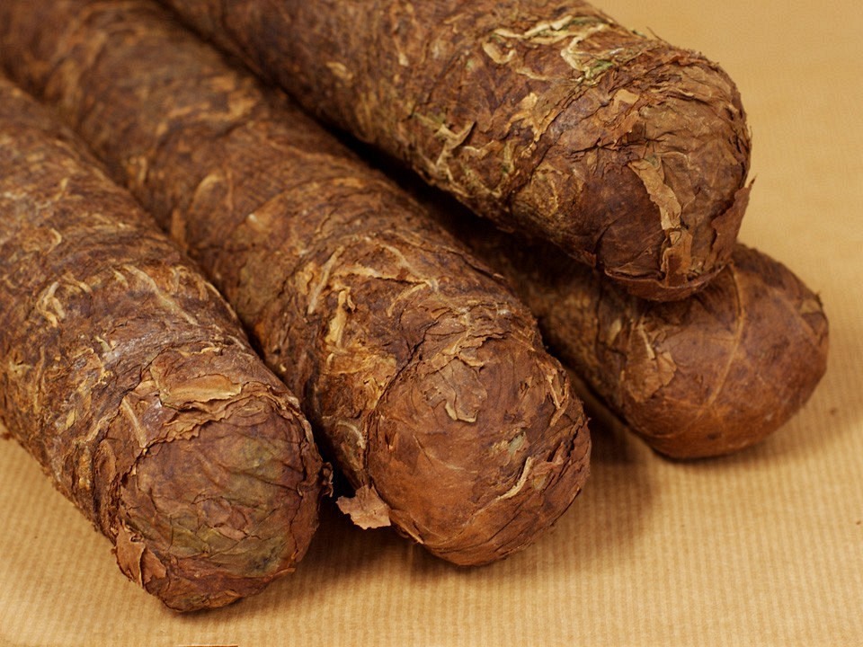 Raw Tabaco Mapacho (aka Mapacho masos, Nicotiana rustica, Rustica) at ...