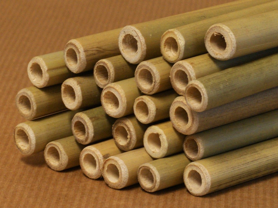 Tubes Bamboo at Katukina - Tribal Rapé, Mapacho, Kambo, Sananga ...