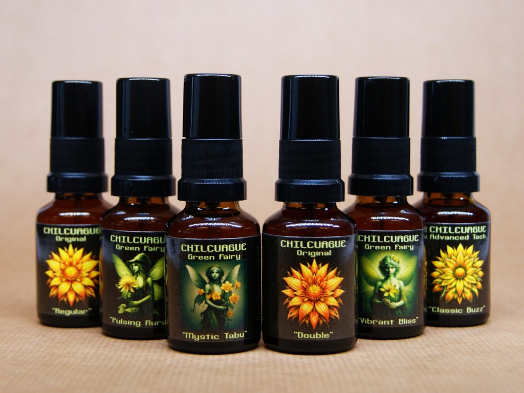 Chilcuague Original (aka Heliopsis longipes, Philactis longipes, Herb ...