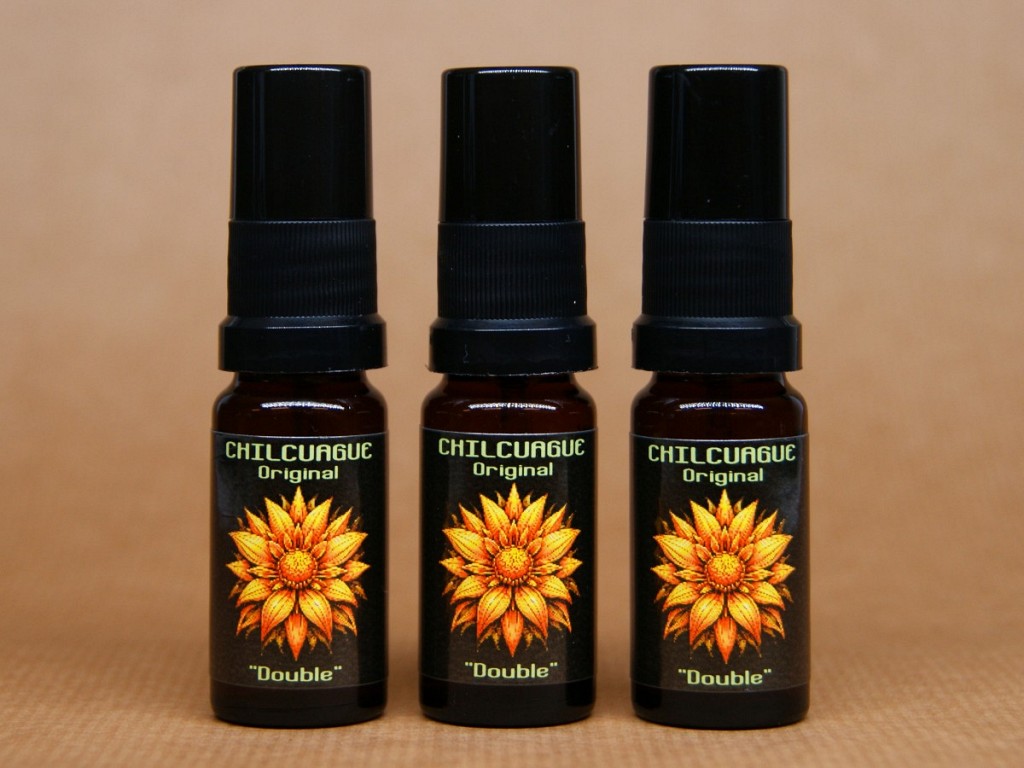 Chilcuague Original (aka Heliopsis longipes, Philactis longipes, Herb ...