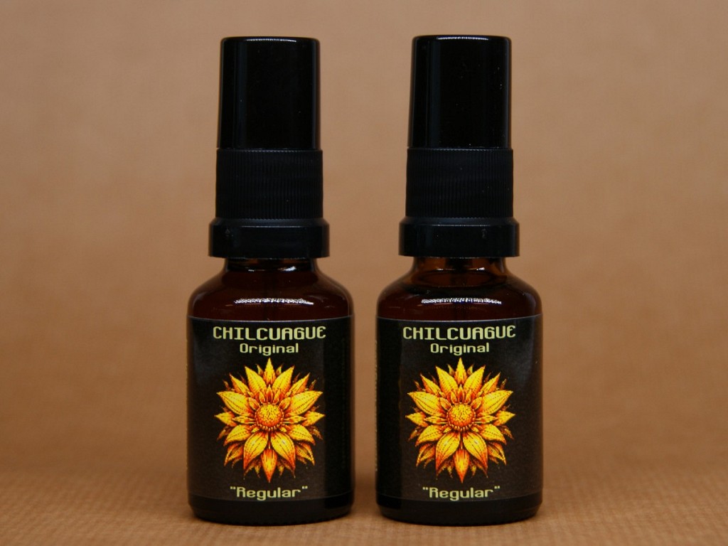 Chilcuague Original (aka Heliopsis longipes, Philactis longipes, Herb ...