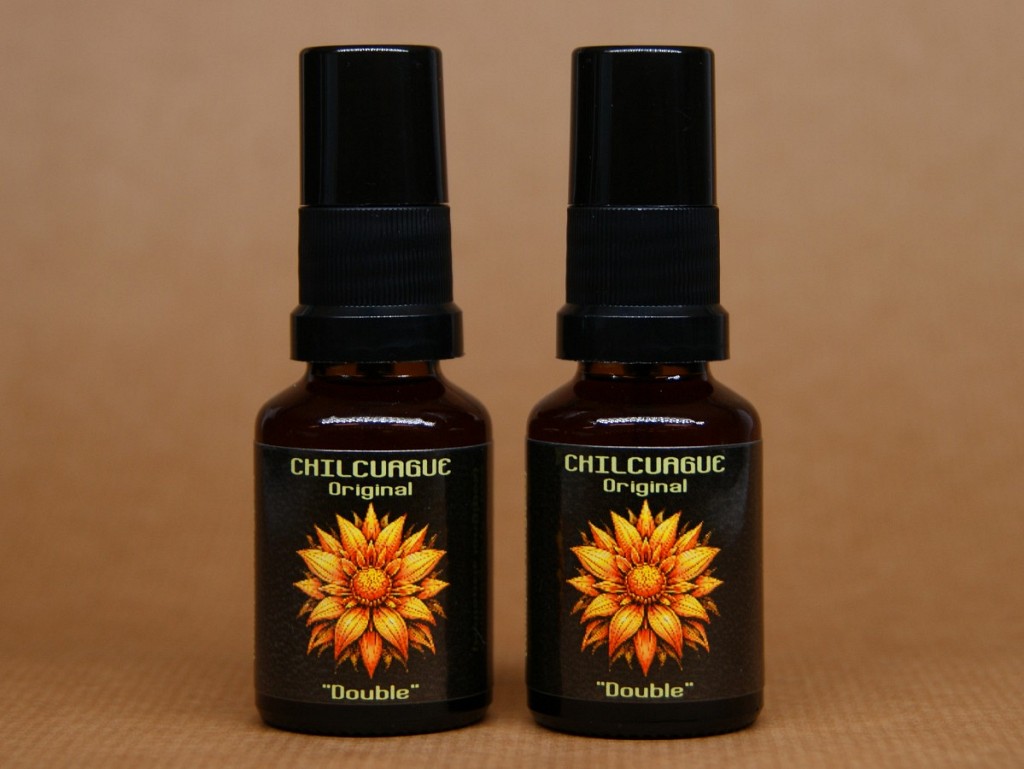 Chilcuague Original (aka Heliopsis longipes, Philactis longipes, Herb ...