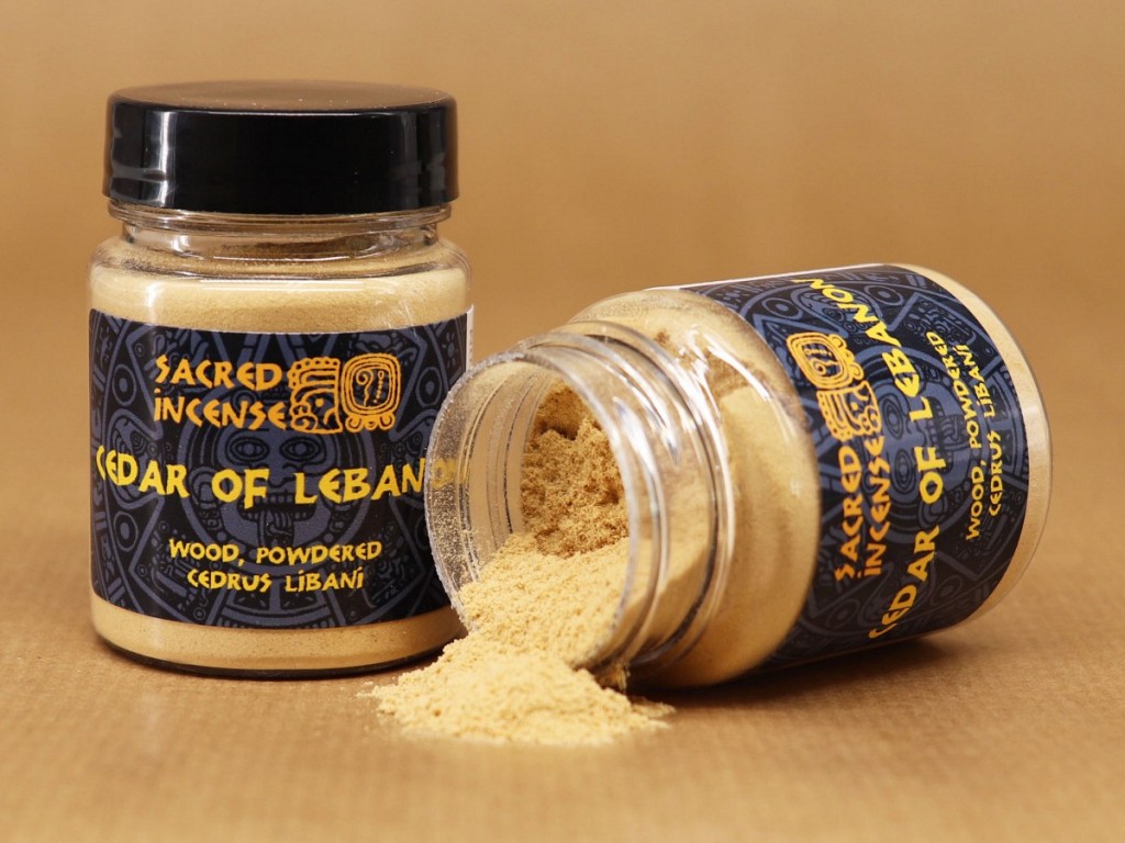 Sacred Incense - Cedar of Lebanon (aka Cedrus libani) at Katukina ...