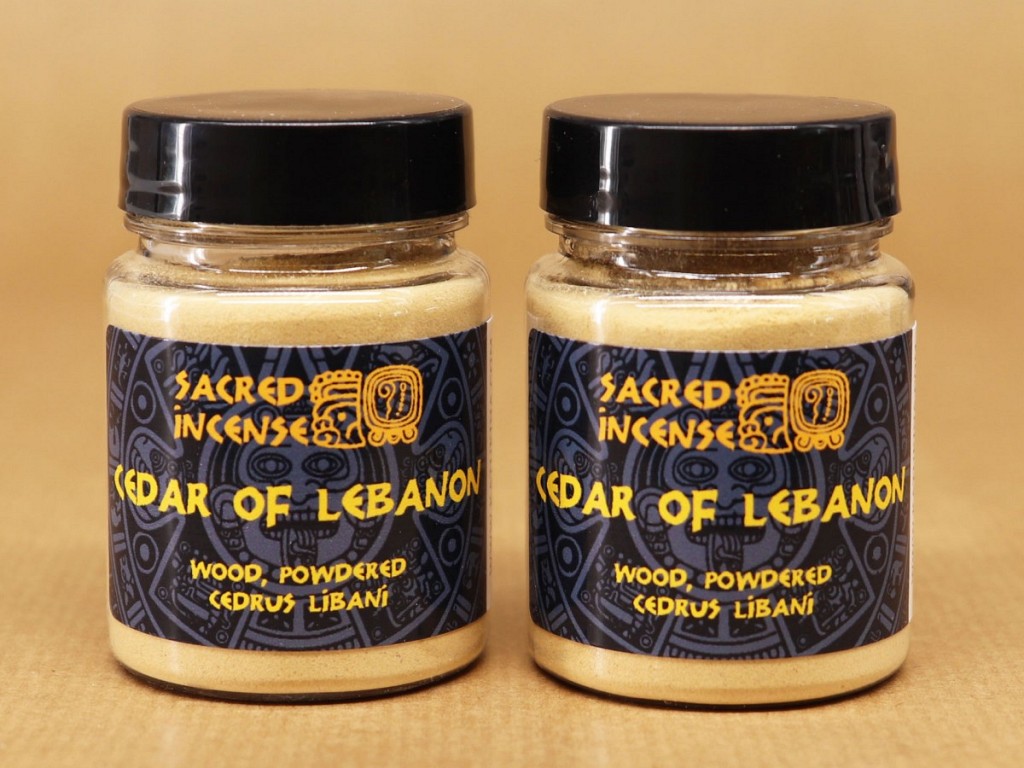 Sacred Incense - Cedar of Lebanon (aka Cedrus libani) at Katukina ...