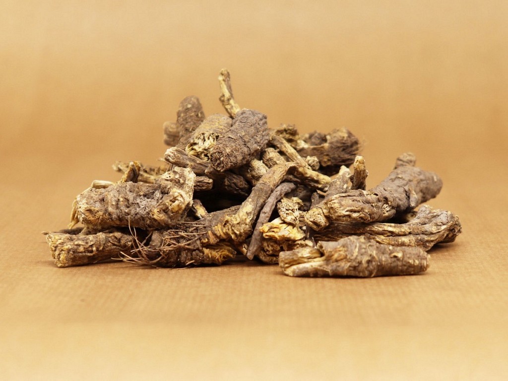 Osha root (aka Ligusticum porteri, Osha, Bear Root, Chuchupate ...