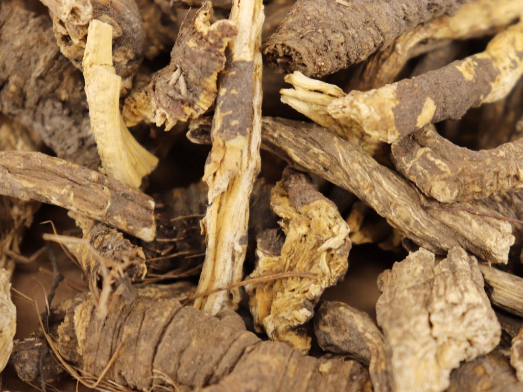 Osha root (aka Ligusticum porteri, Osha, Bear Root, Chuchupate ...