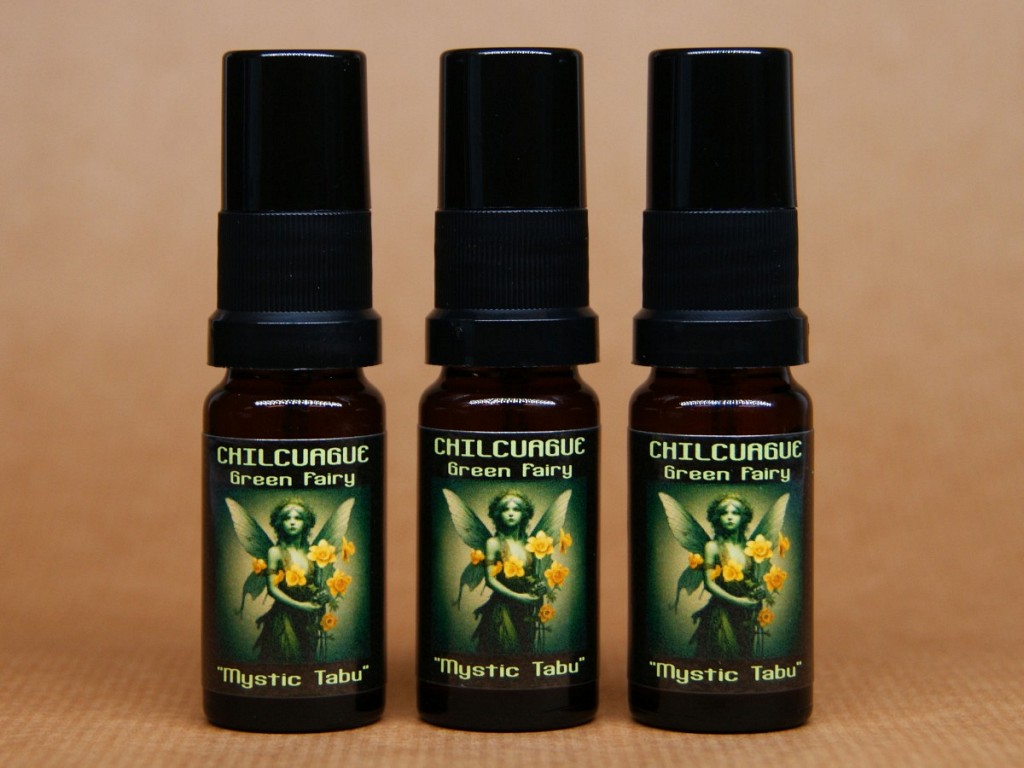 Chilcuague Green Fairy - Mystic Tabu (aka Heliopsis longipes, Philactis ...