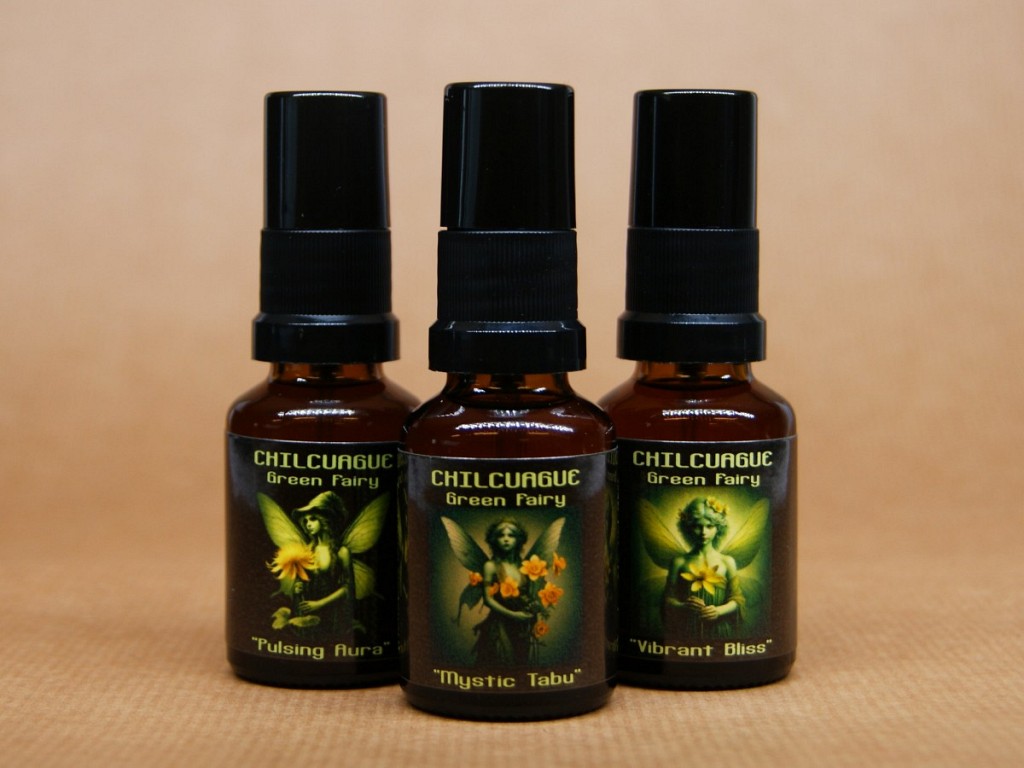 Chilcuague Green Fairy - Mystic Tabu (aka Heliopsis longipes, Philactis ...