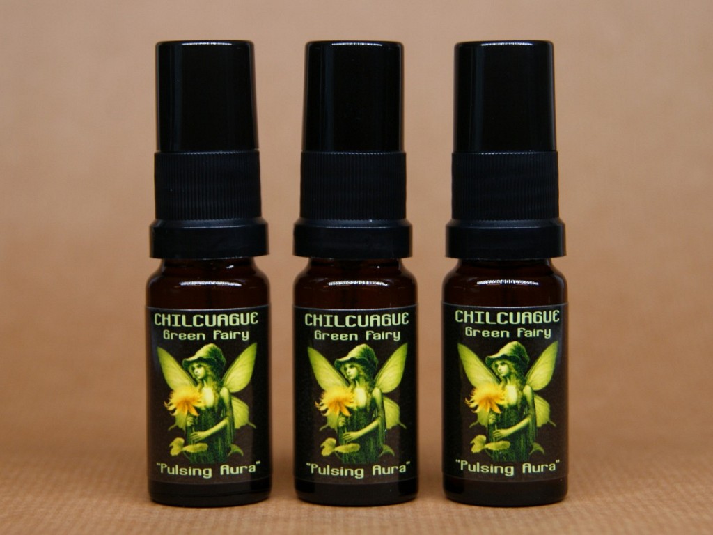 Chilcuague Green Fairy - Pulsing Aura (aka Heliopsis longipes ...