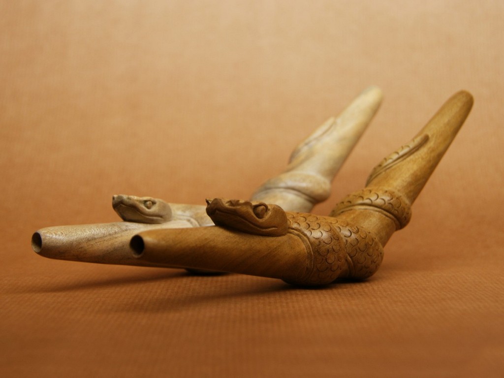 Tepi Serpent (aka Tepi, blowpipe, applicator for Rapé.) at Katukina ...
