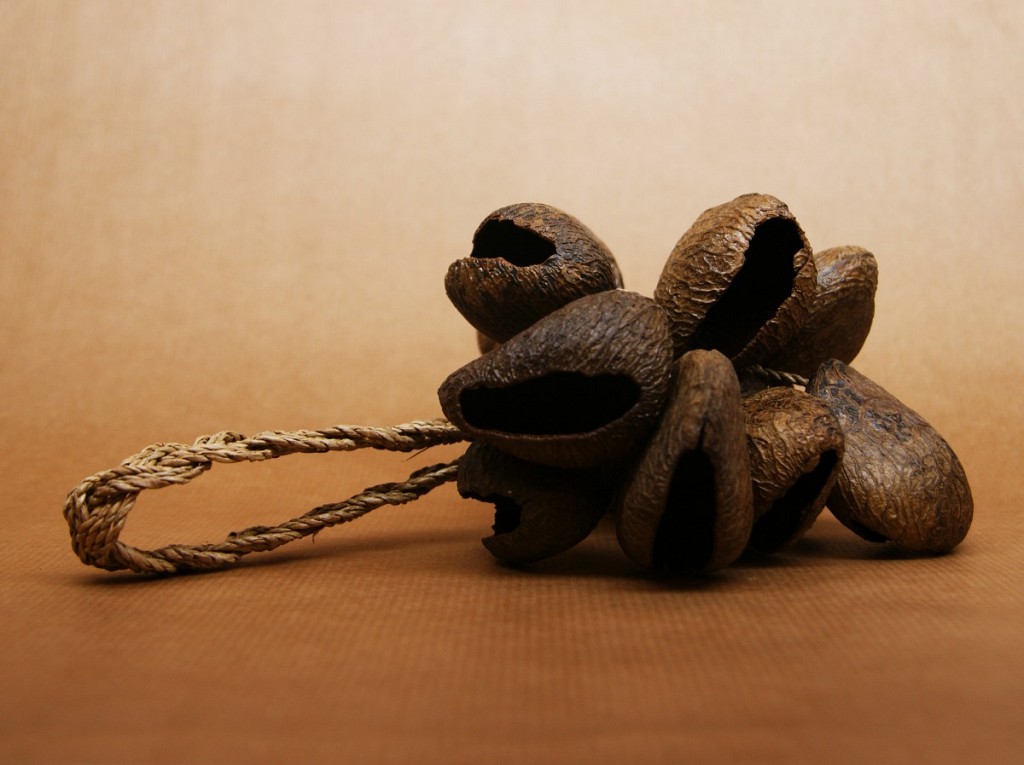 Seed Shaker (aka Percussion instrument, rattle, Maraca) at Katukina ...